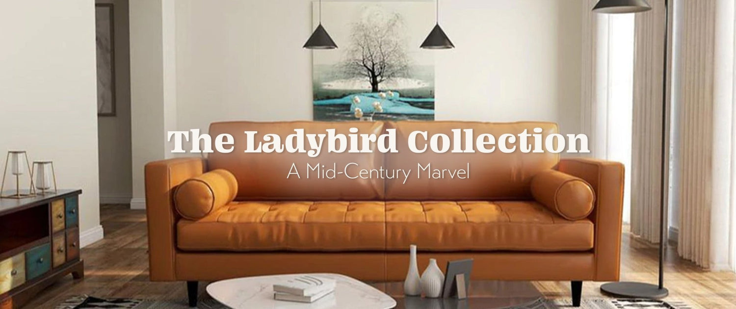 The Ladybird Collection: A Mid-Century Marvel – Couch Potatoes Furniture